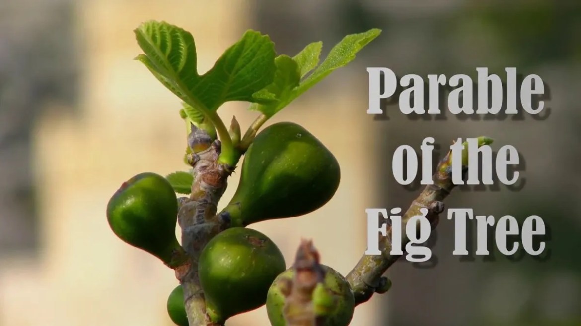 CONVERGENCE SERIES — PART 1 — THE FIG TREE GENERATION – Days of Noah