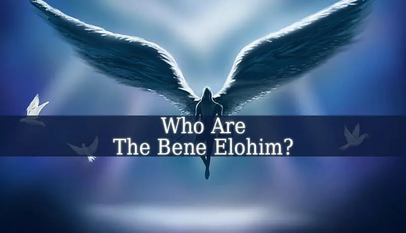 In the Beginning … Session 4 — The Sons of God – Days of Noah